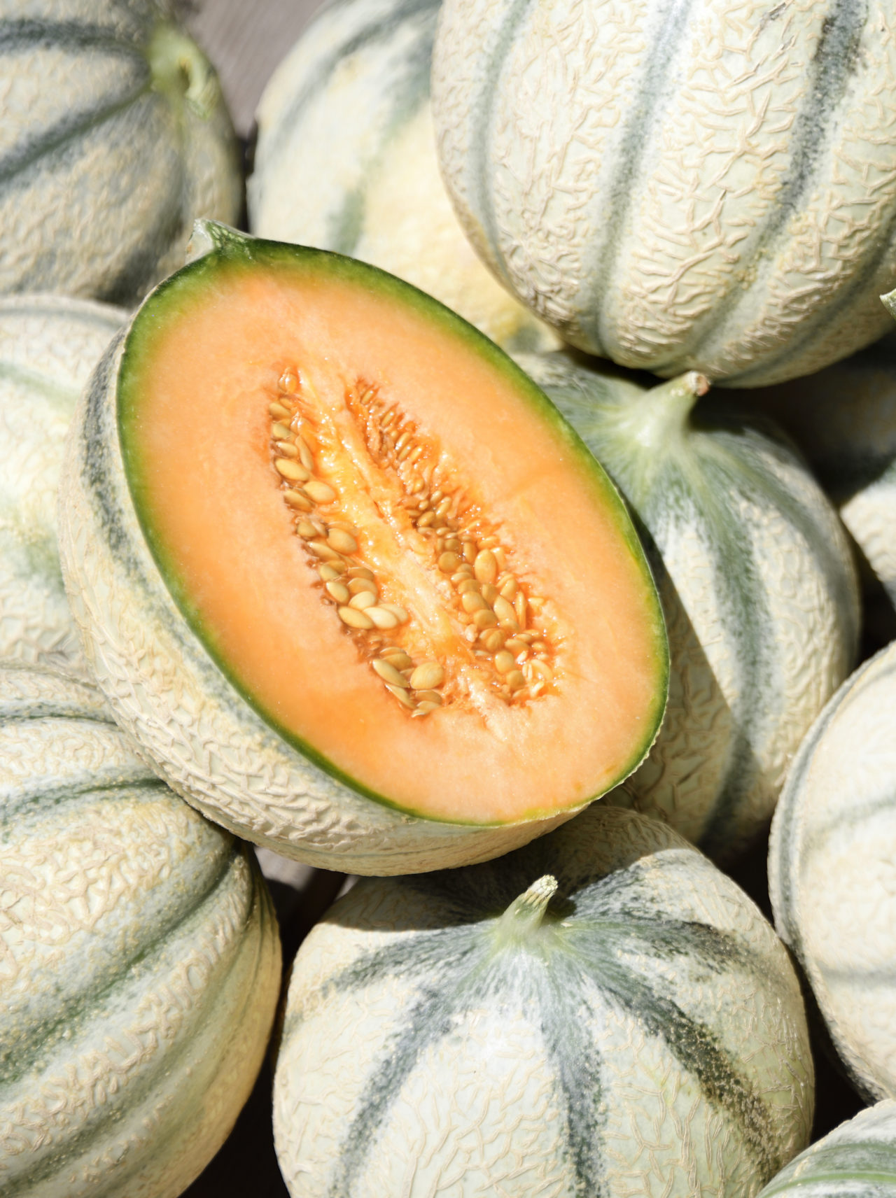 Comment bien choisir un melon ? - Le melon de nos régions